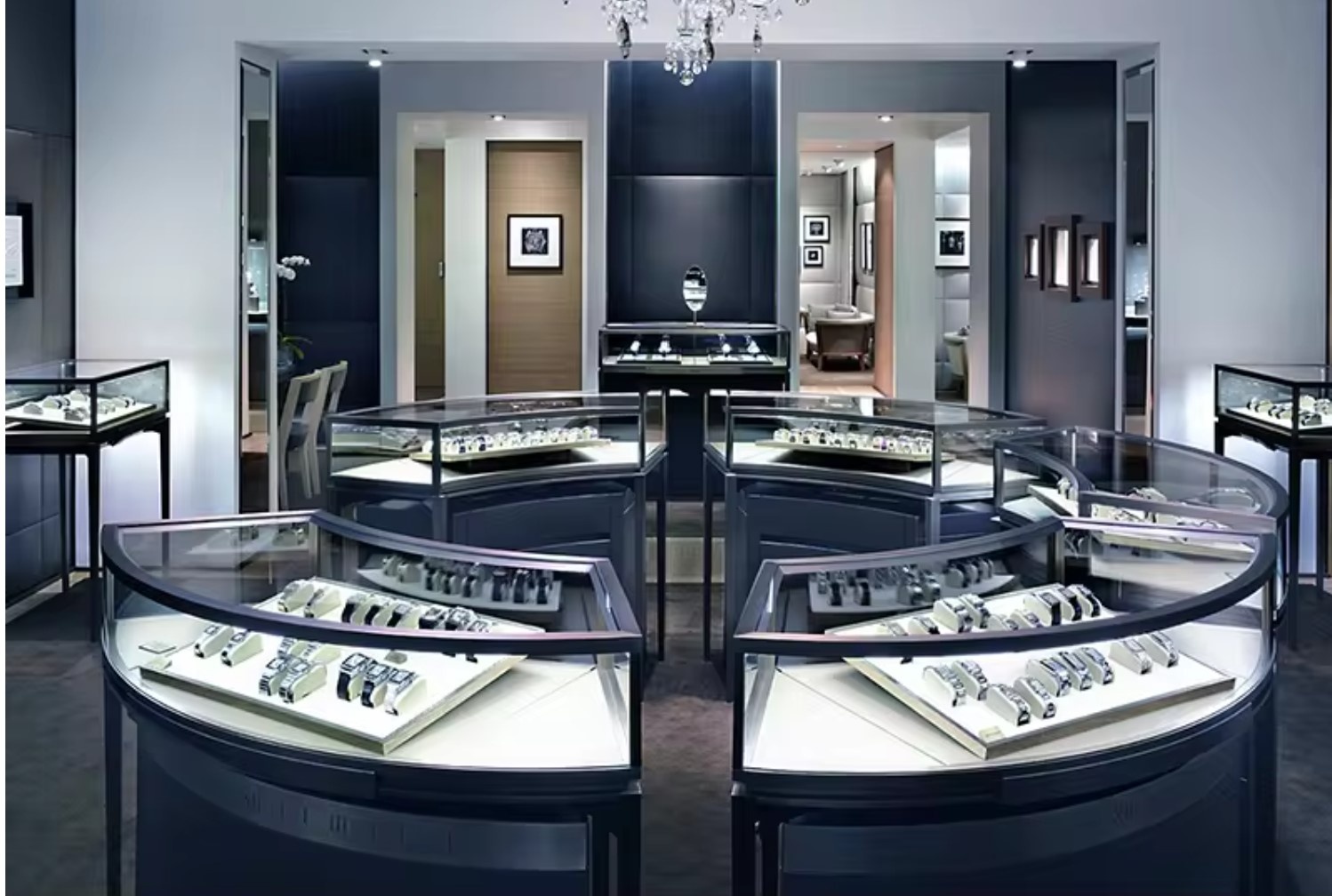 watch Display Showcase